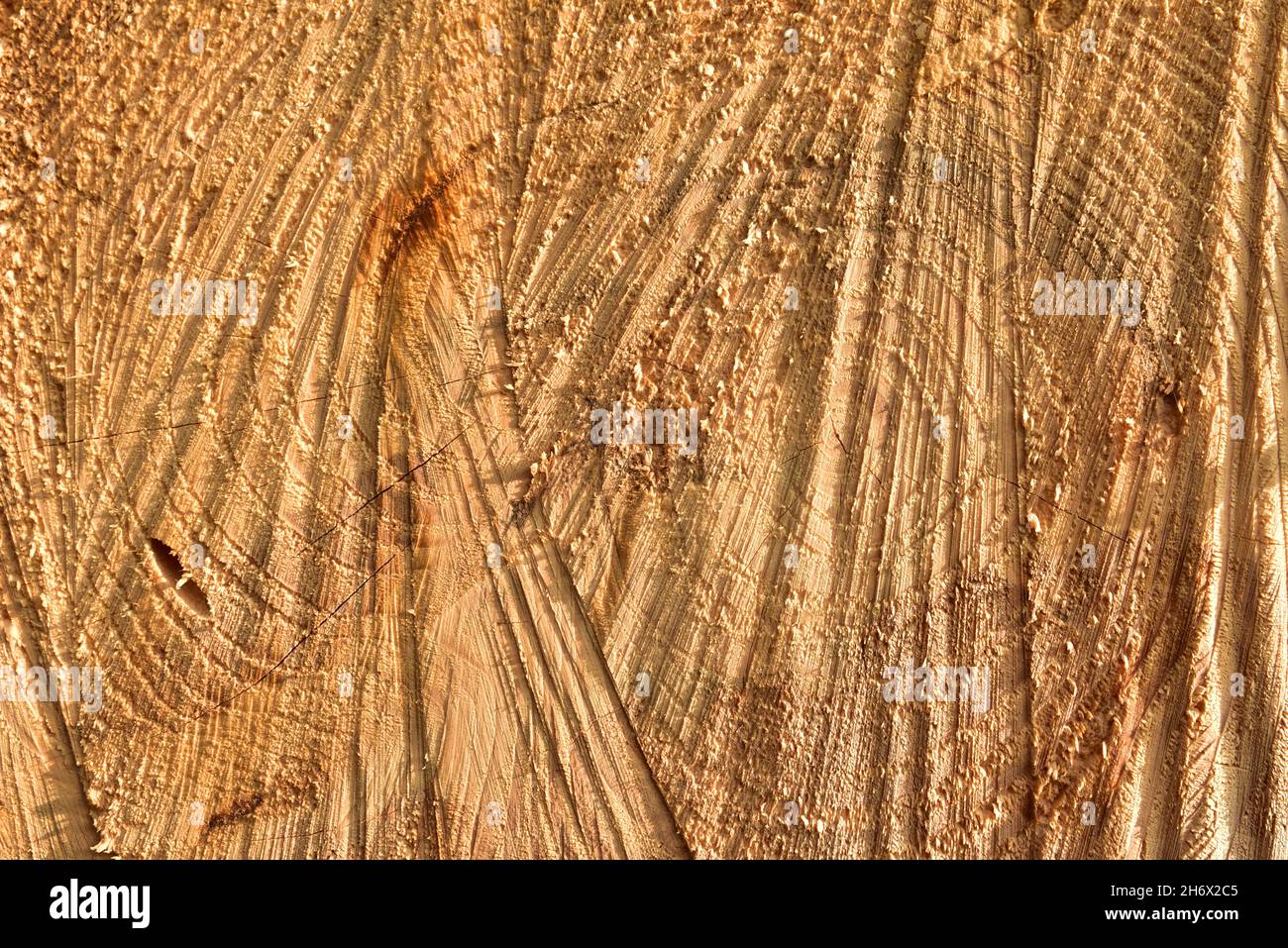 Wooden structure. Cross sectional cut end of log showing the pattern ...
