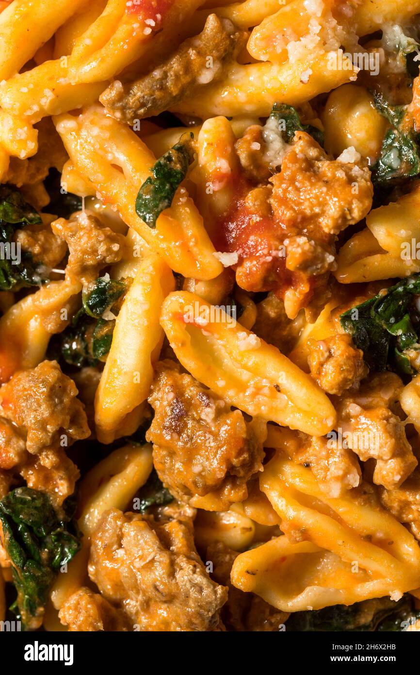 Homemade Cavatelli Pasta Dinner with Sausage and Spinach Stock Photo ...