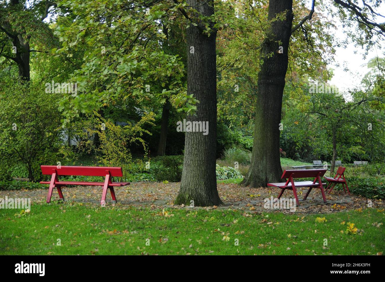 Green park with trees and red benches during daylight Stock Photo - Alamy