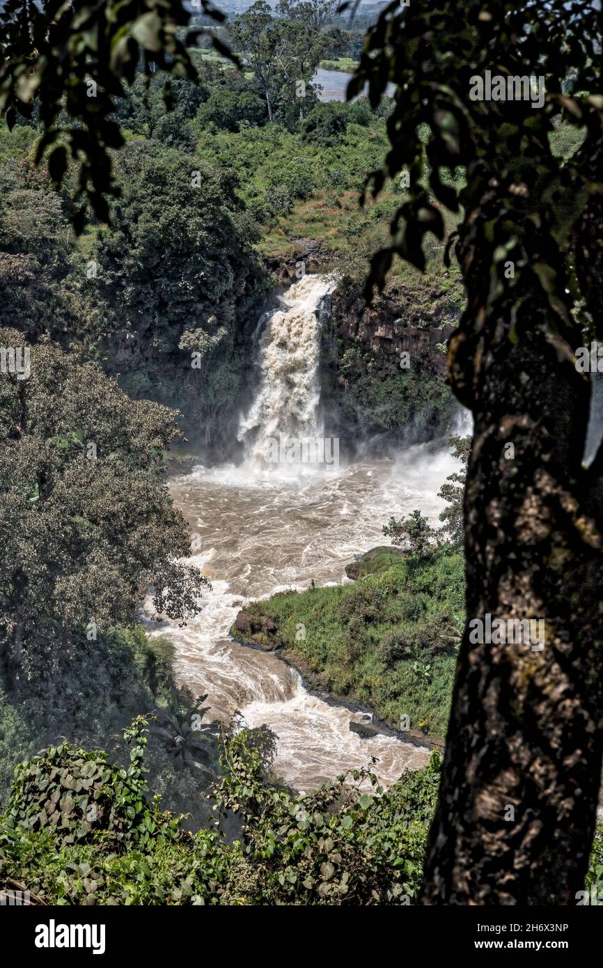 Nile, Blue Nile Falls, waterfalls, landscape, travel, Ethiopia, Africa ...