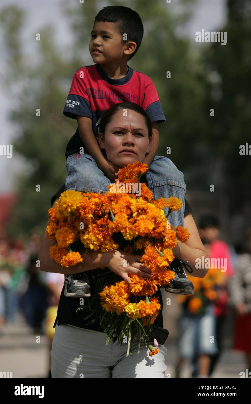 Offering yellow-orange marigolds, called cempasuchil, on the Day of the ...