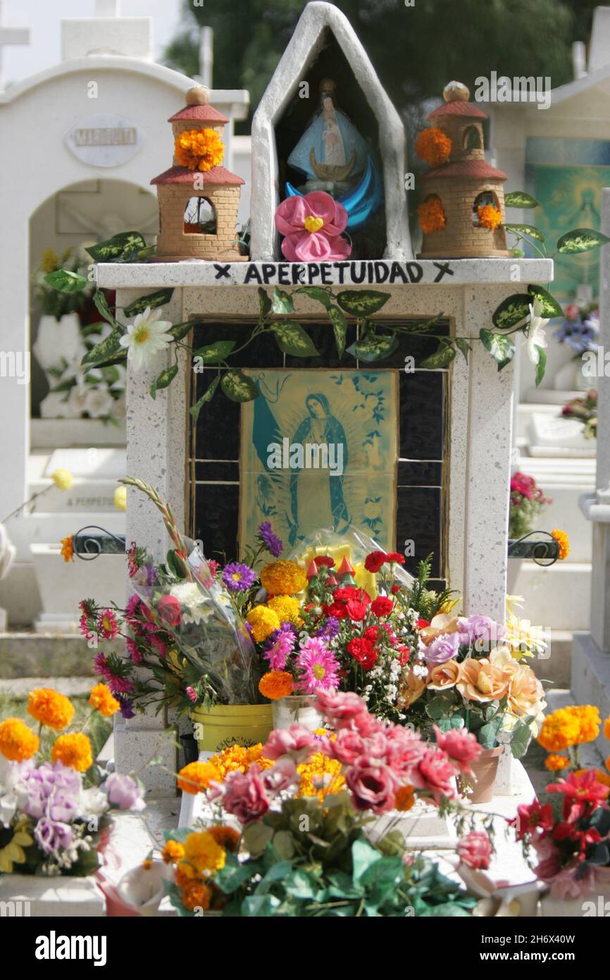 Offering yellow-orange marigolds, called cempasuchil, on the Day of the ...