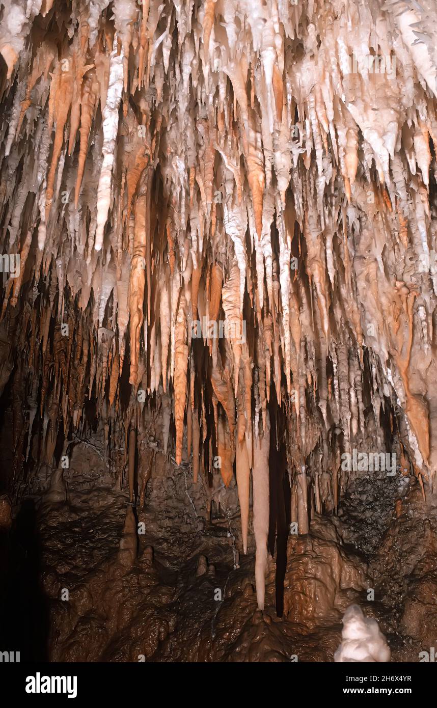Yarrangobilly cave hi-res stock photography and images - Alamy