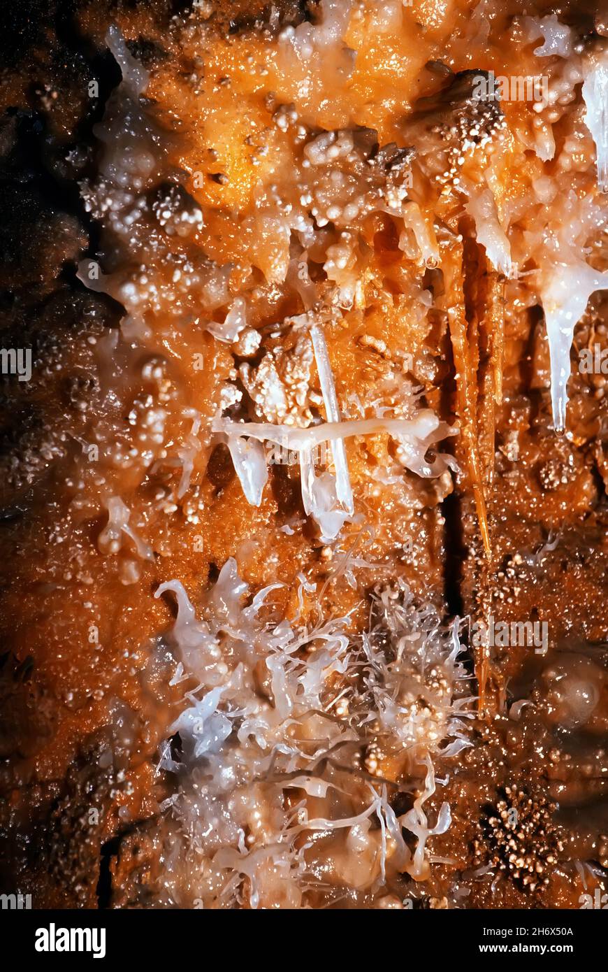 Helictite hi-res stock photography and images - Alamy