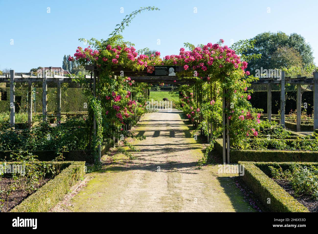 Sint pieters leeuw hi-res stock photography and images - Alamy