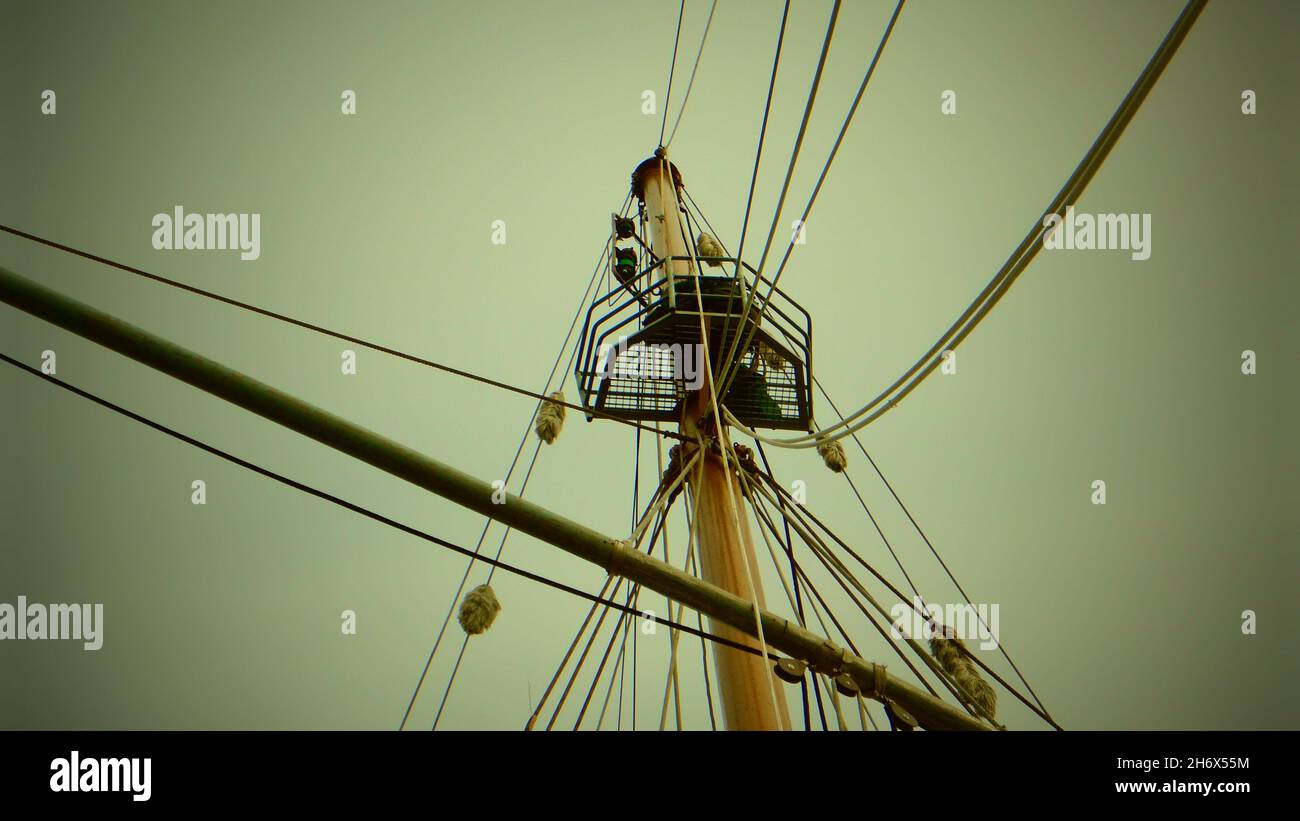 popping flowers in velvet spring Stock Photo - Alamy