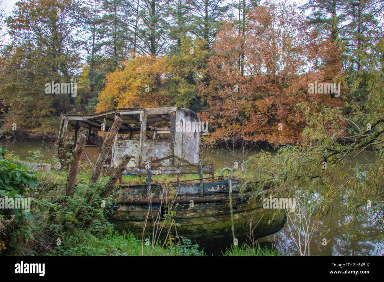 Bandon River, Co. Cork, Ireland Stock Photo - Alamy