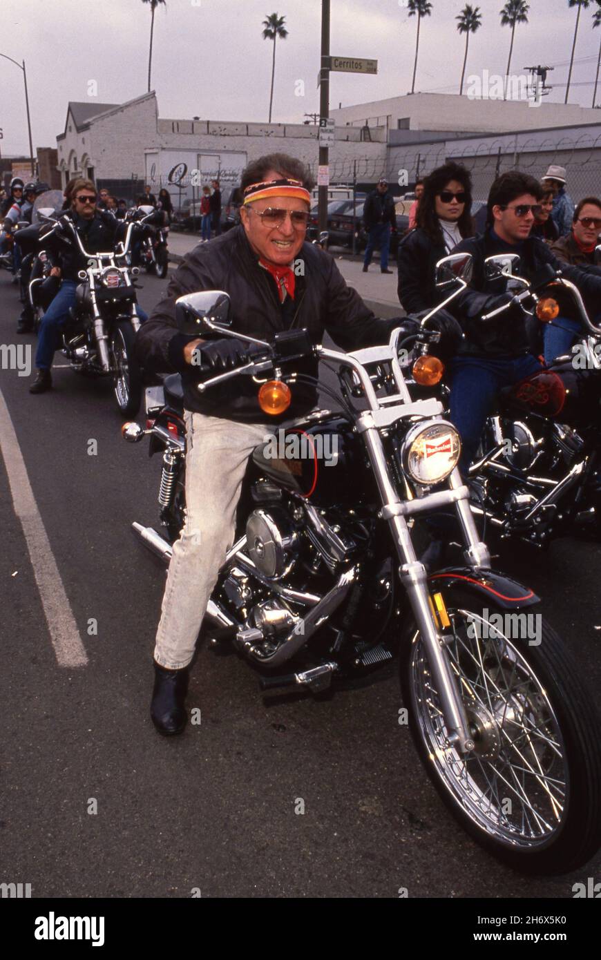 Vince Edwards Circa 1980's Credit: Ralph Dominguez/MediaPunch Stock ...