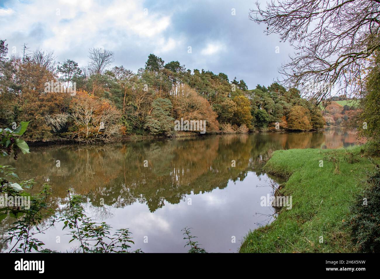 River bandon co cork ireland hi-res stock photography and images - Alamy