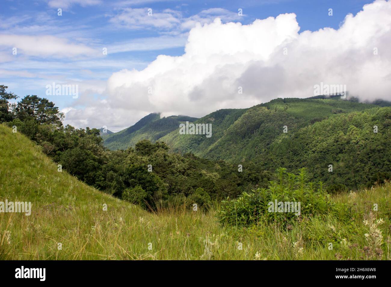 Clouds rolling in over the forested peaks of the Wolkberg Mountains, in ...