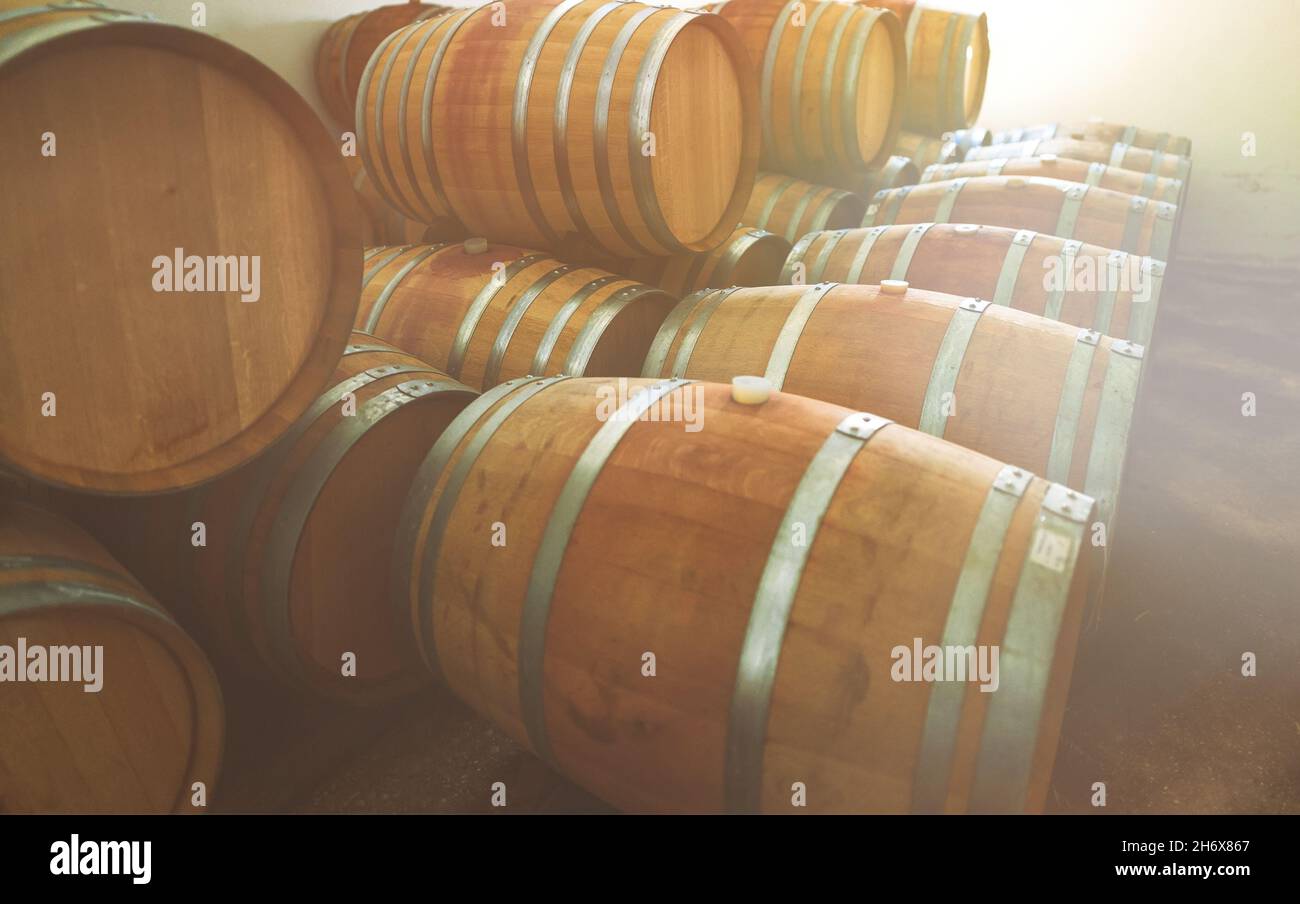 Wine barrels stacked in the cellar Stock Photo - Alamy
