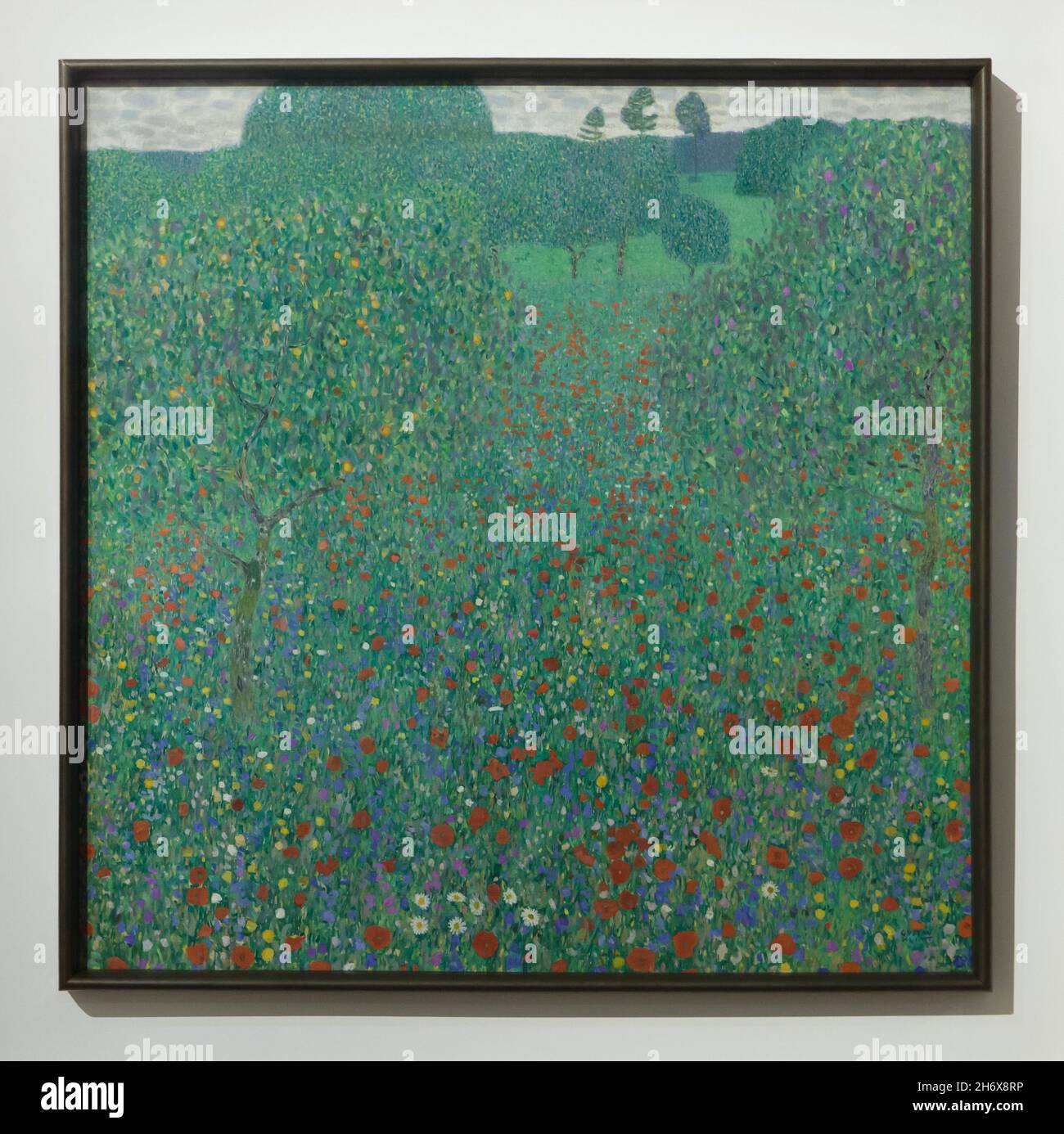 Painting 'Flowering Poppies' by Austrian symbolist painter Gustav Klimt ...