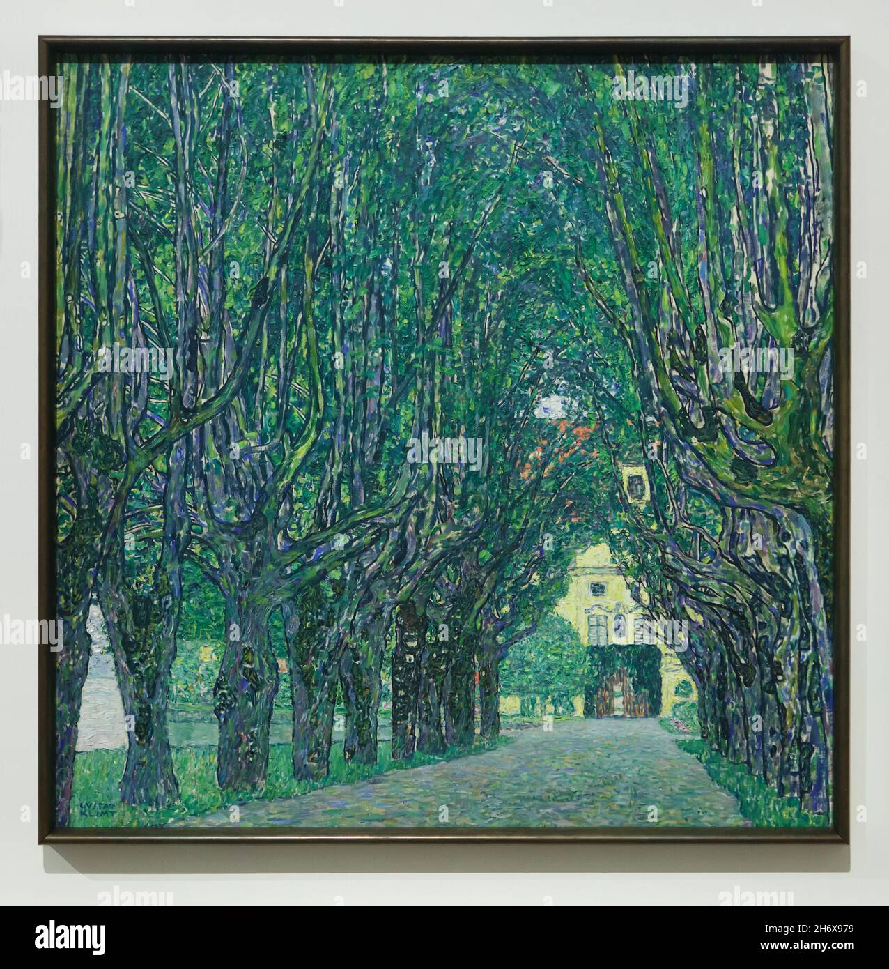 Gustav klimt tree hi-res stock photography and images - Alamy