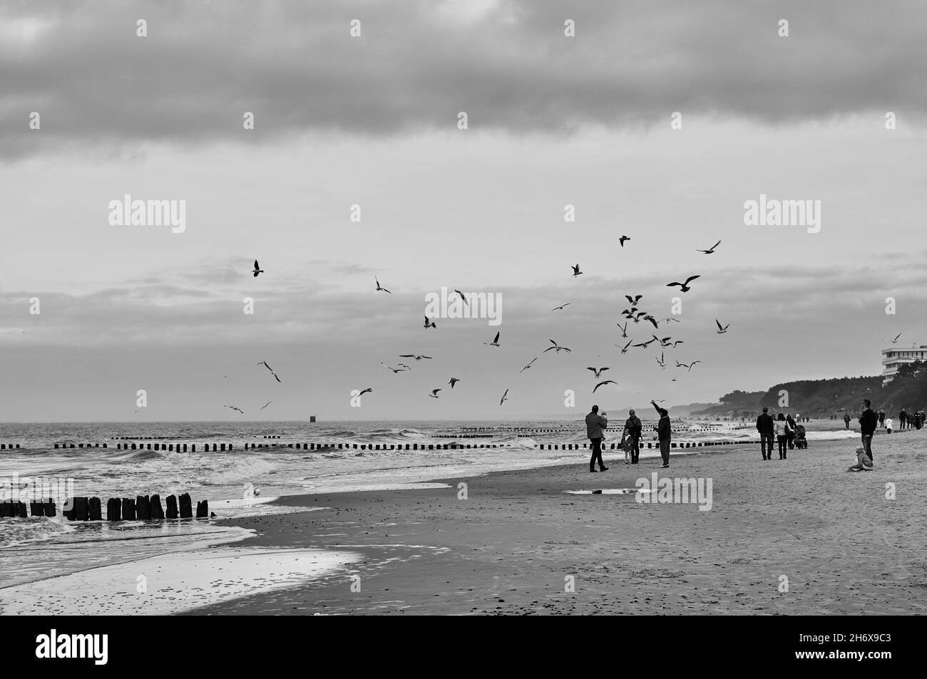 SARBINOWO, POLAND - Oct 15, 2017: A grayscale shot of people walking ...