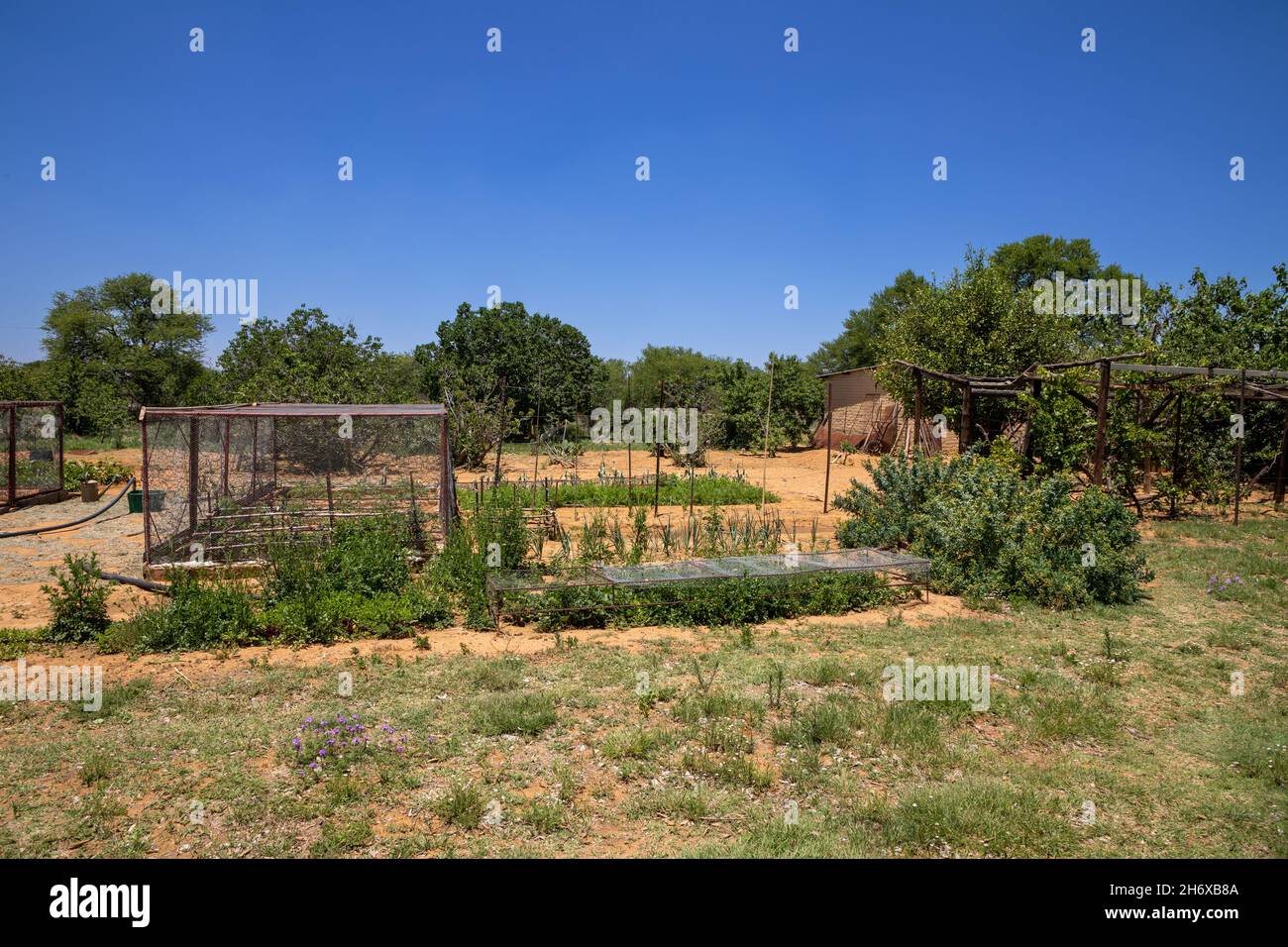 Semi arid landscape hi-res stock photography and images - Alamy