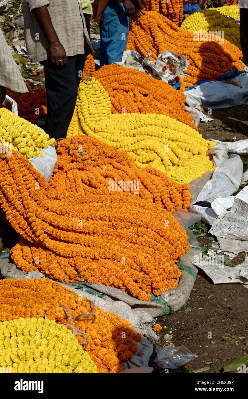 Traders in the Howrah flower market with marigolds and puja offerings ...