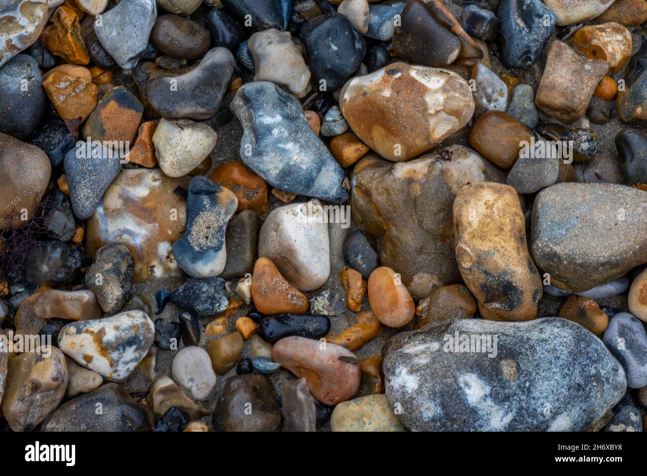 close-up of pebbles and stones on the shoreline, stony pebbles and ...