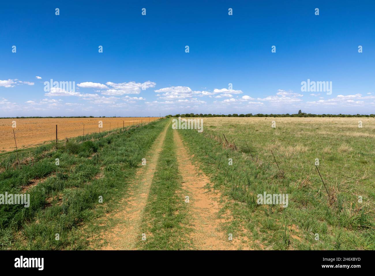 Dirt road in a field of grass Stock Photo - Alamy