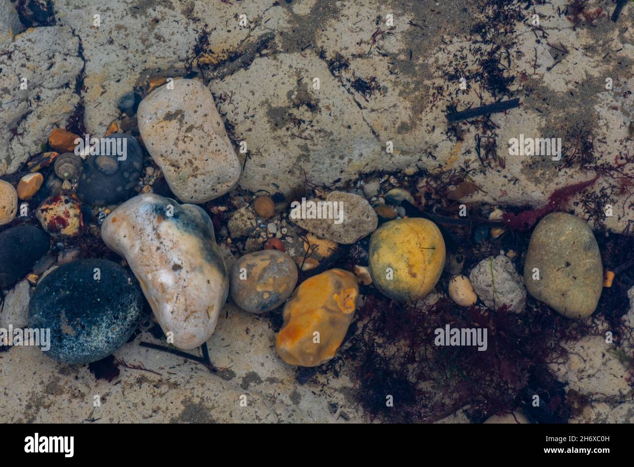 variety of different coloured and shaped pebbles in a tidepool on a ...