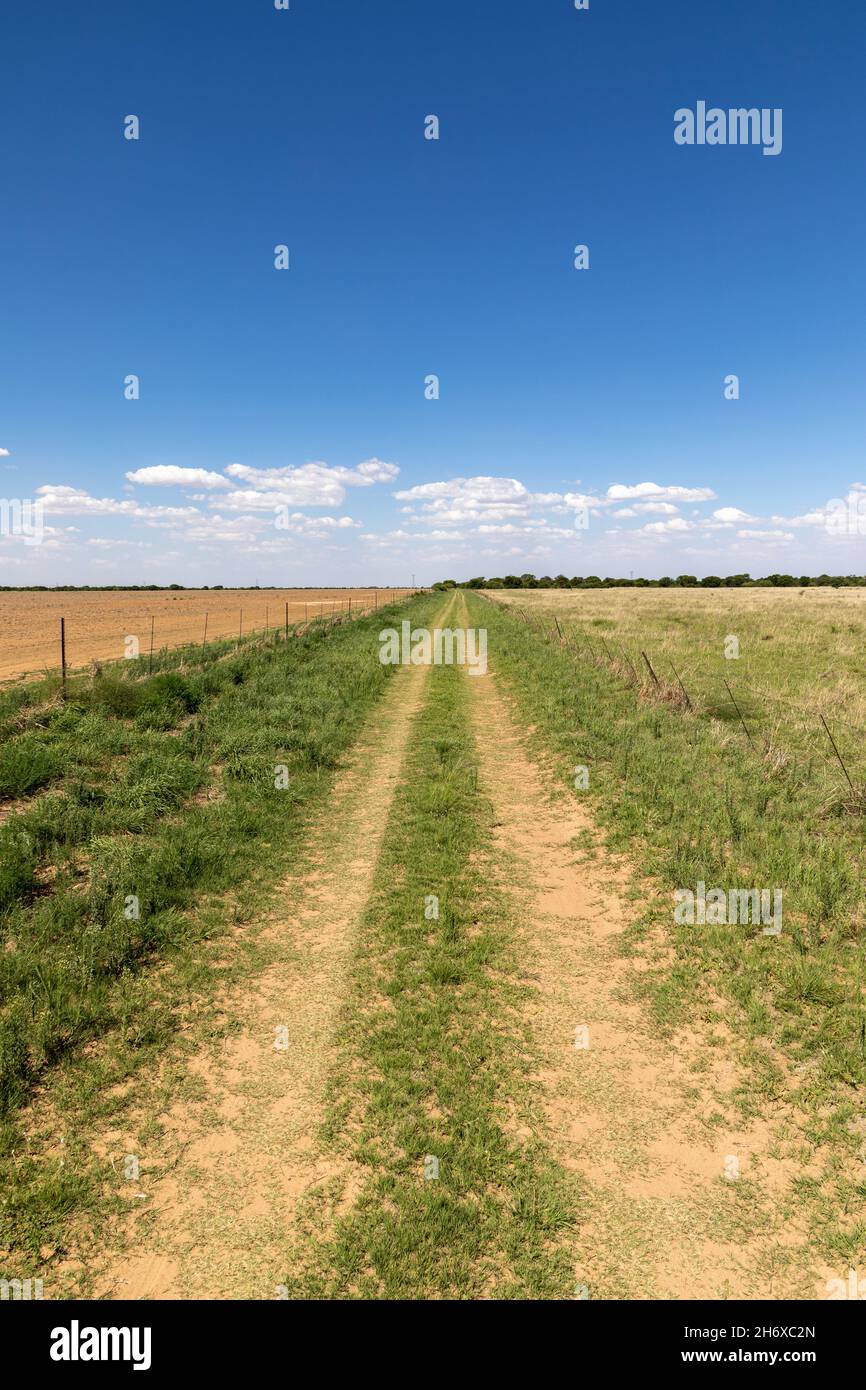Vertical of a two wheel dirt road leading into the distance Stock Photo ...