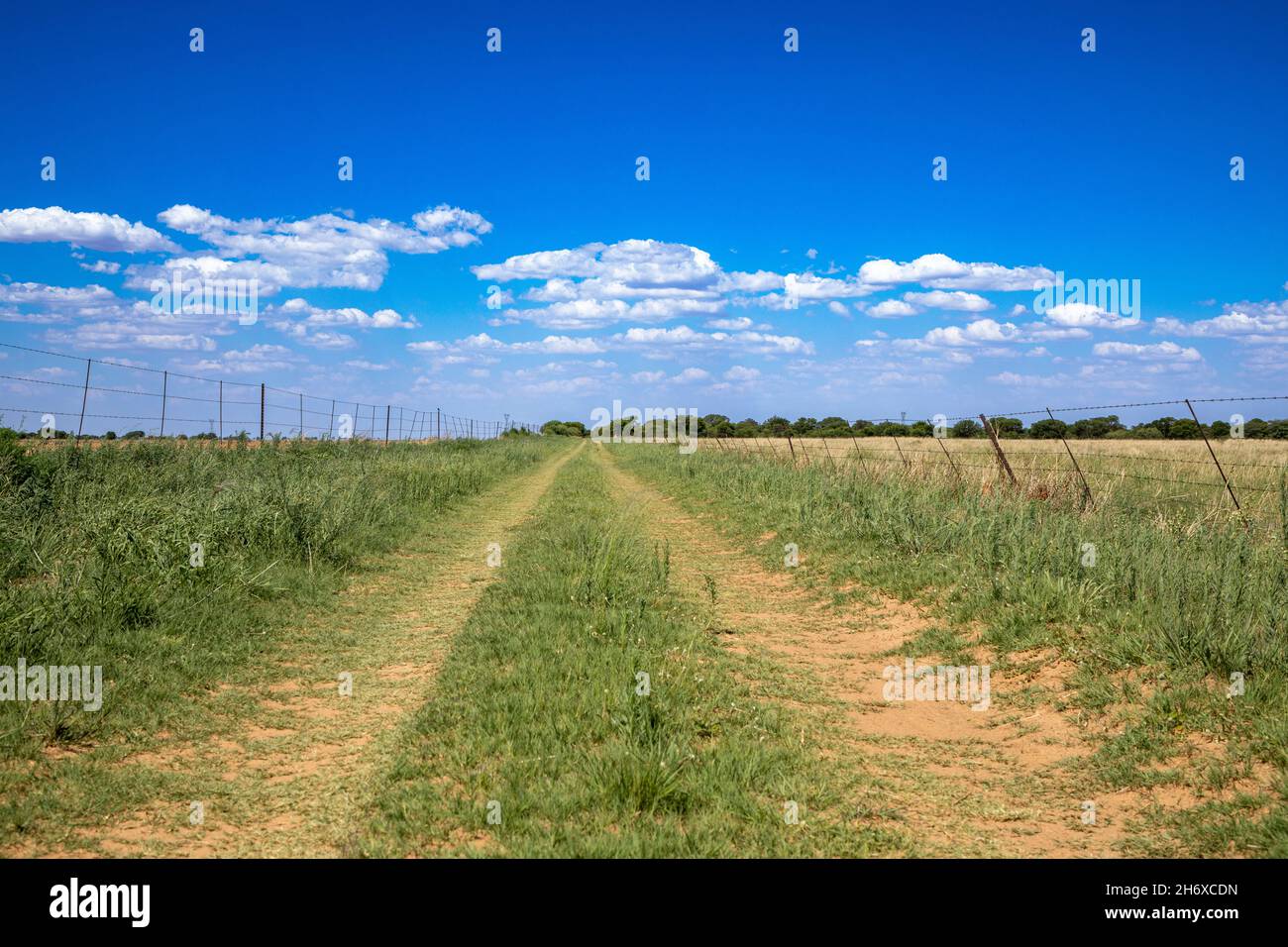 Horizontal of a two wheel dirt road leading into the distance Stock ...
