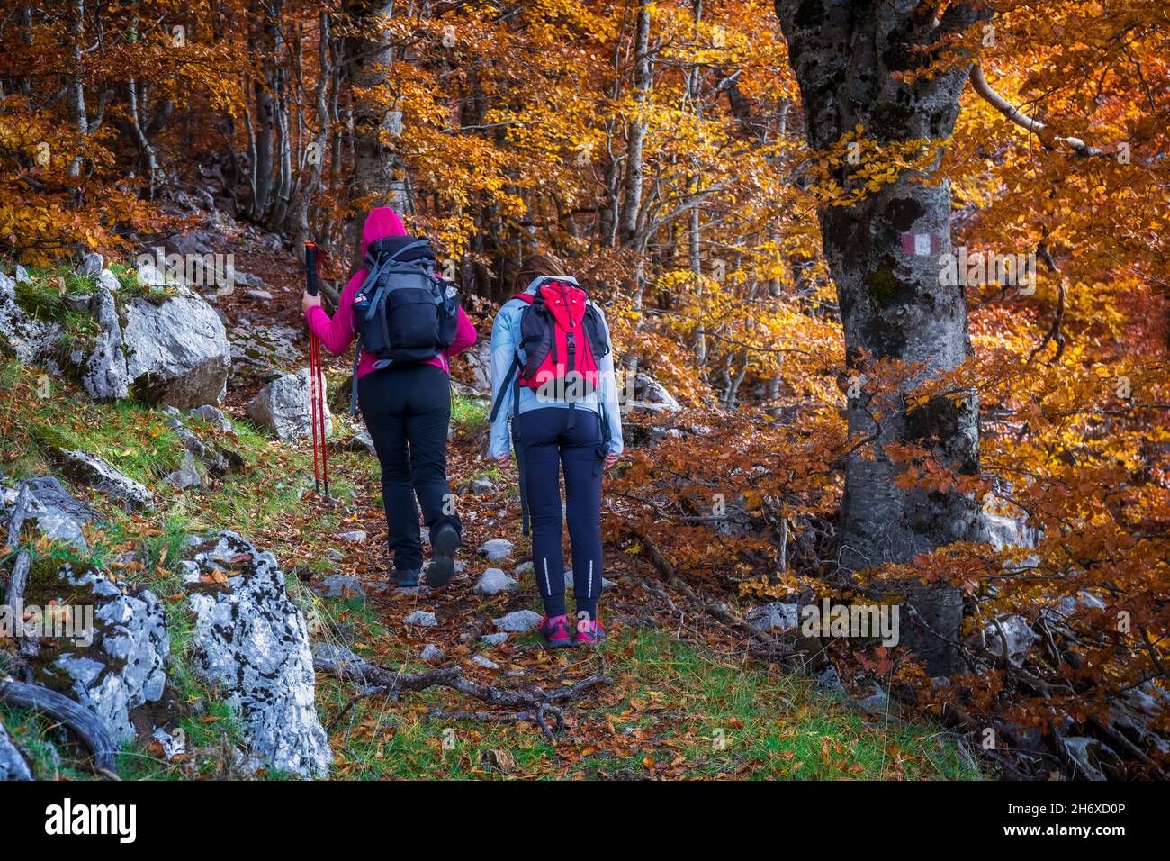 Hikers on the mountain trail explores the area during the autumn season ...