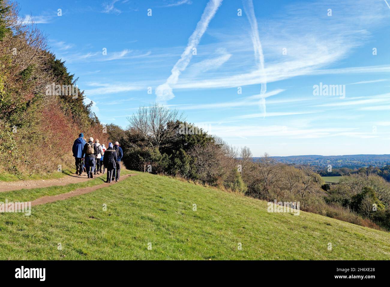 An elderly group of ramblers on the North Downs Way path at Newlands ...