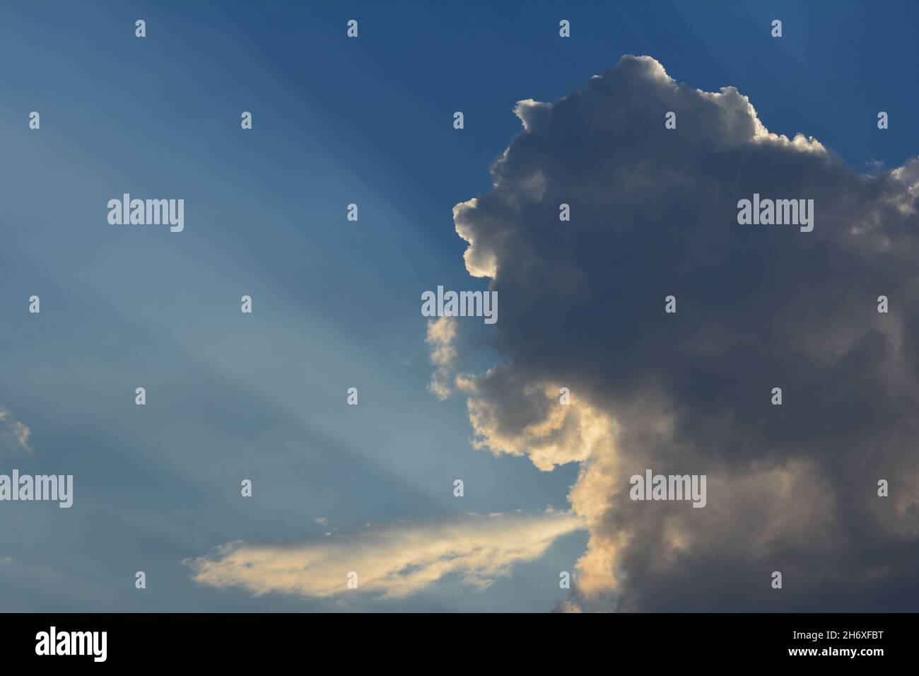 Shine out hi-res stock photography and images - Alamy