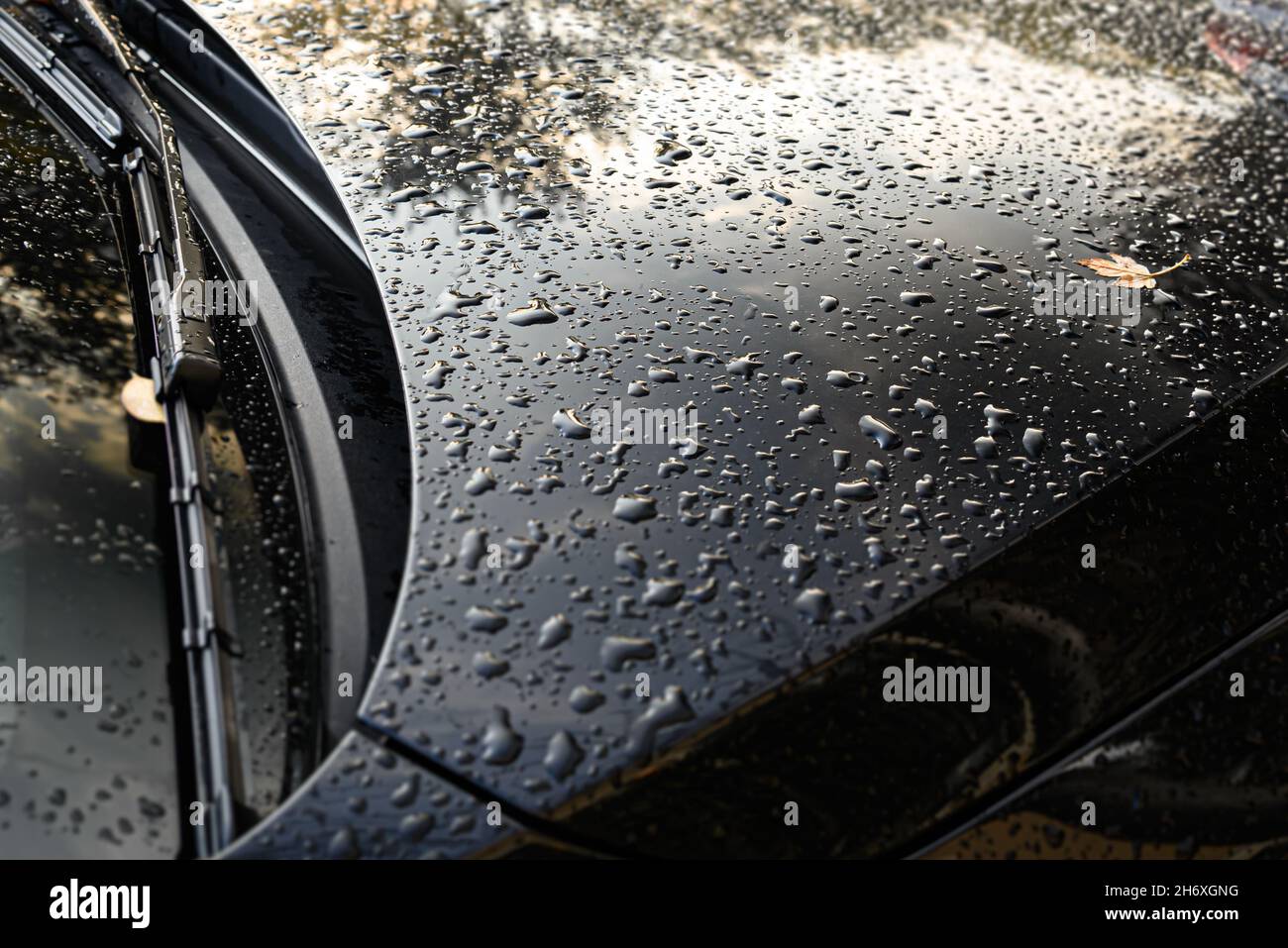 water droplets on the hood of a car after autumn rain Stock Photo - Alamy