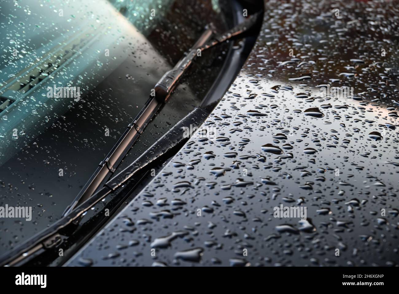 rain drops on car windshield and hood Stock Photo - Alamy