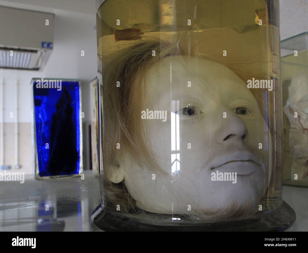 Lisboa, Portugal. 18th Nov, 2021. (INT) Embalmed head of the first ...