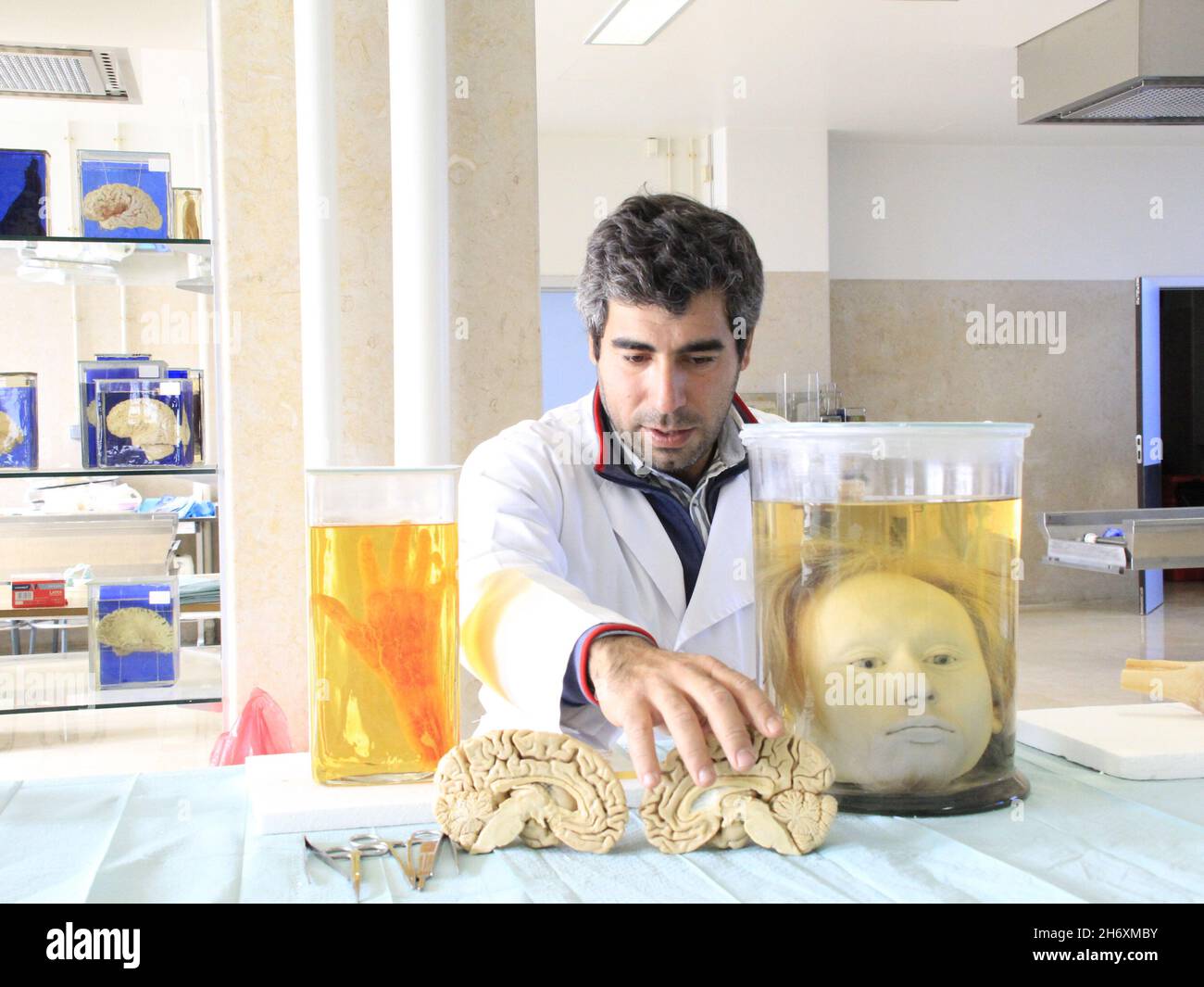 Diogo alves portugal hi-res stock photography and images - Alamy