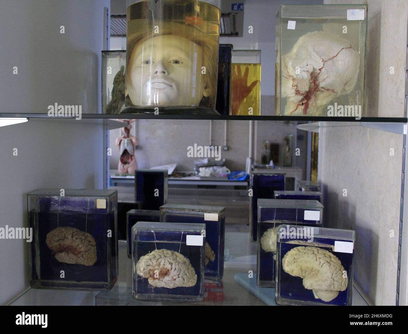 Diogo alves hi-res stock photography and images - Alamy