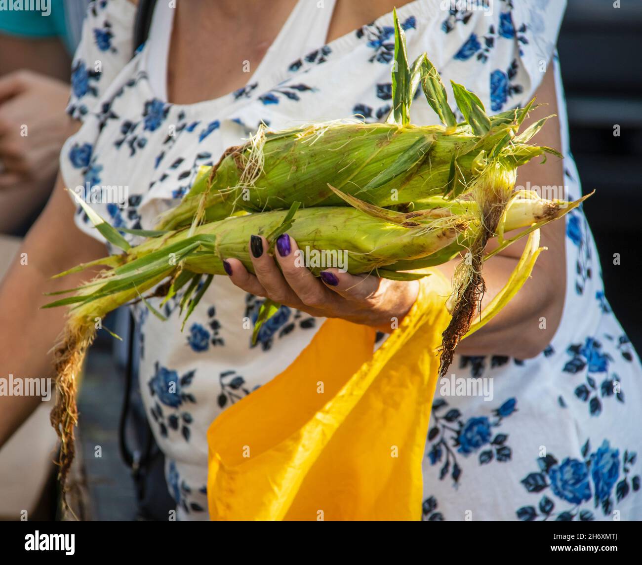 Woman with corn on the cob hi-res stock photography and images - Alamy