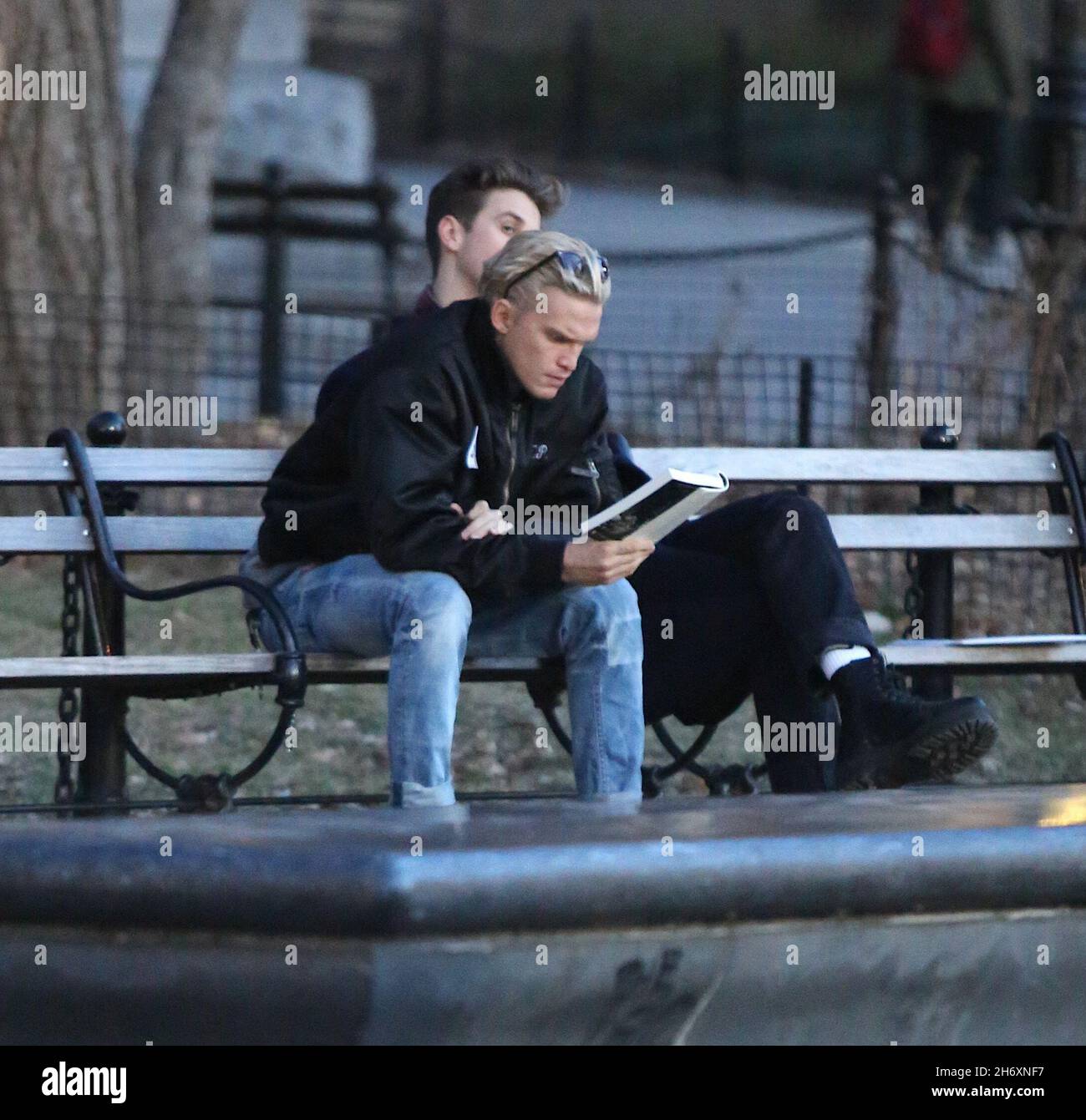 Pictureand hi-res stock photography and images - Alamy