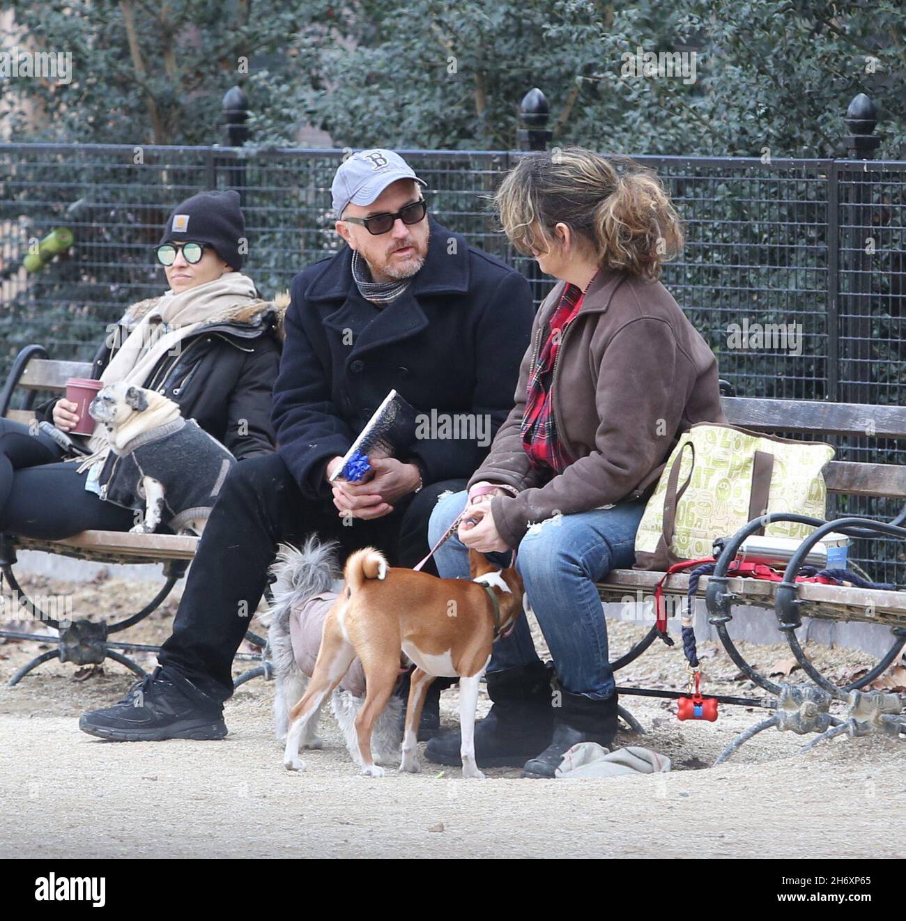 New York - NY - 01/01/2019 - Louis C.K. walking his dog and meeting up ...