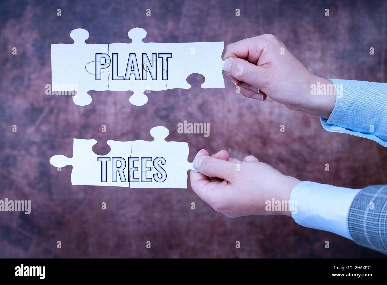 Conceptual caption Plant Trees, Concept meaning process of planting a ...