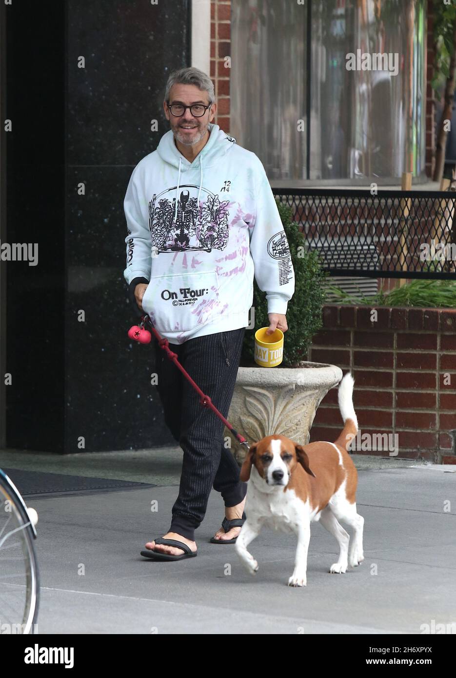 What Happened To Andy Cohens Dog