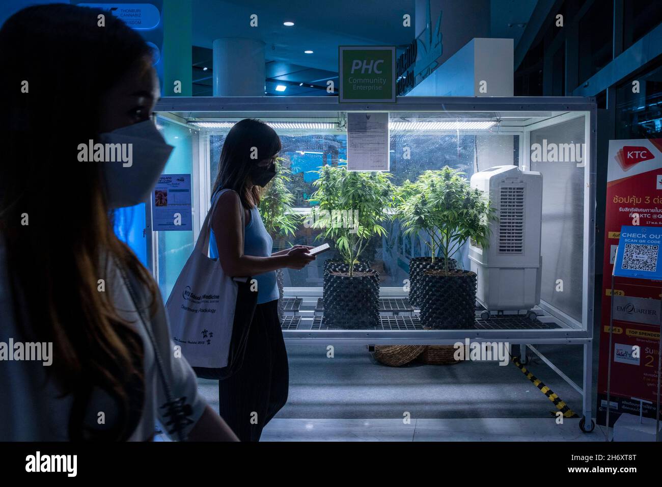 Bangkok, Thailand. 18th Nov, 2021. Members of the public view live ...