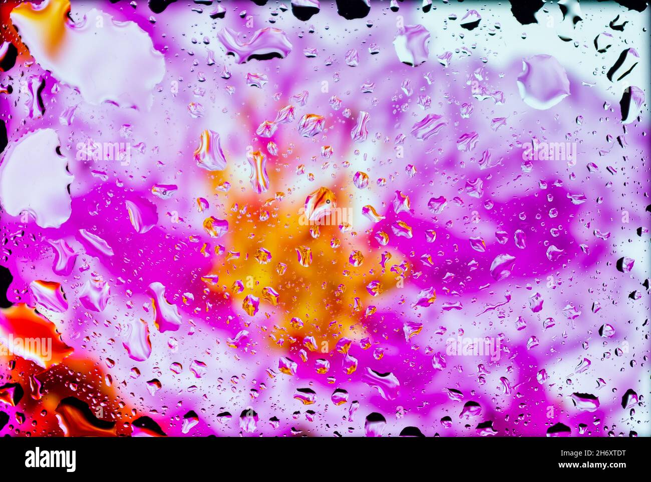 Colourful Water Splash Wallpaper