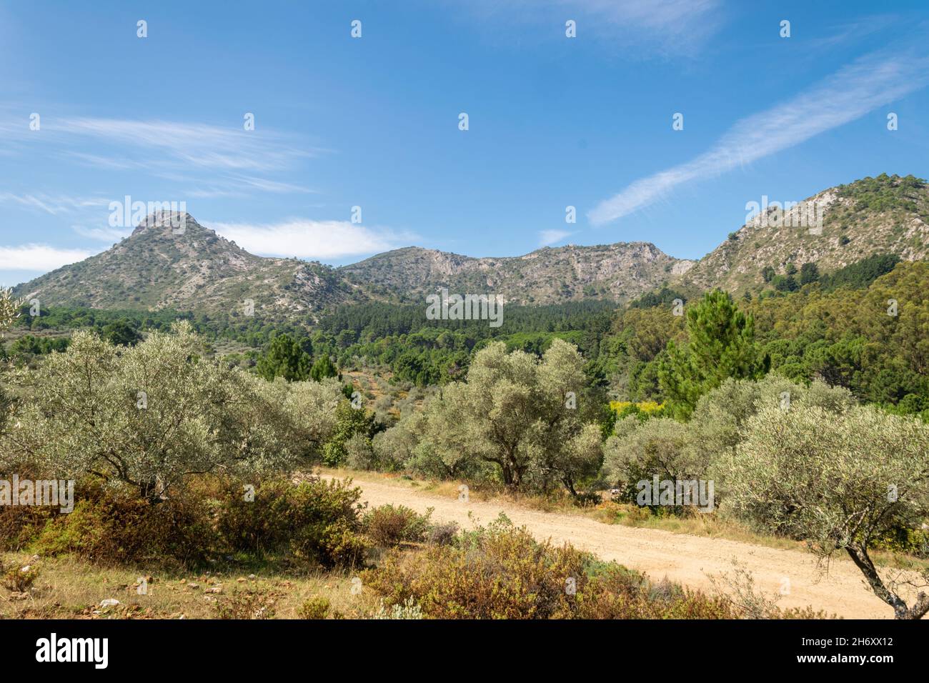 a view of the natural forest and mounatin landscapes behind the ...