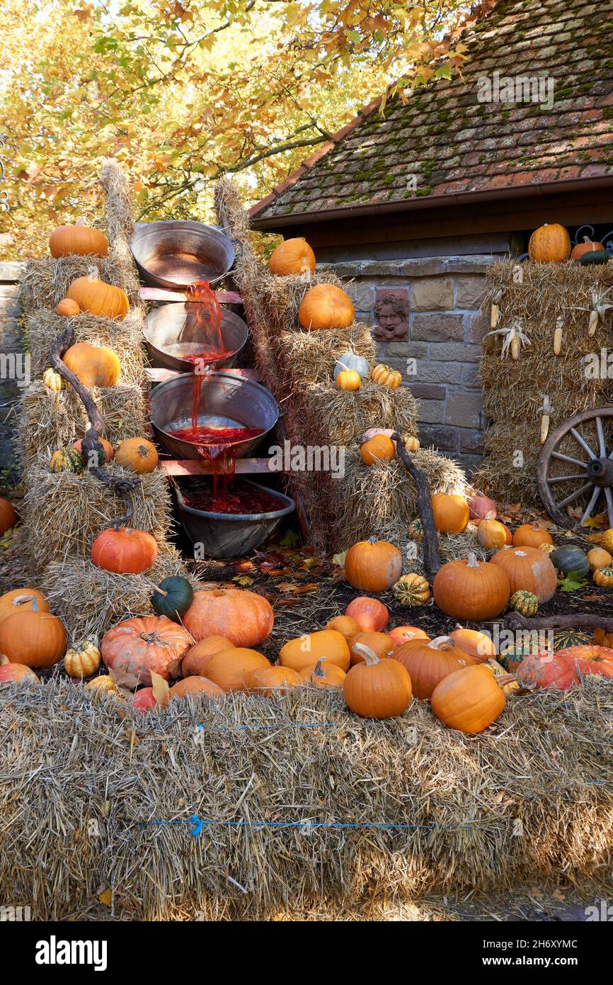 Vertical shot of pumpkins harvest in autumn Stock Photo - Alamy