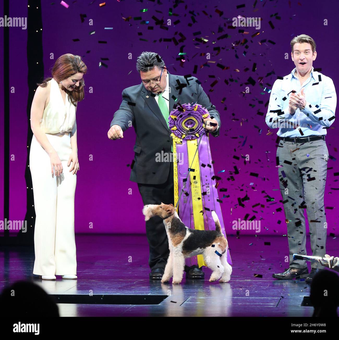 New York - NY - 20190213 - Curtain Call for 2019 Westminster Kennel ...