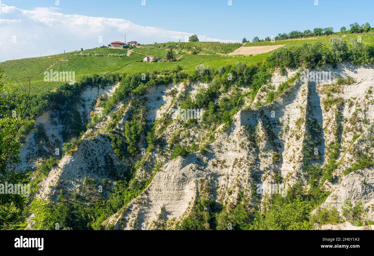 Treiso and its vineyards hi-res stock photography and images - Alamy