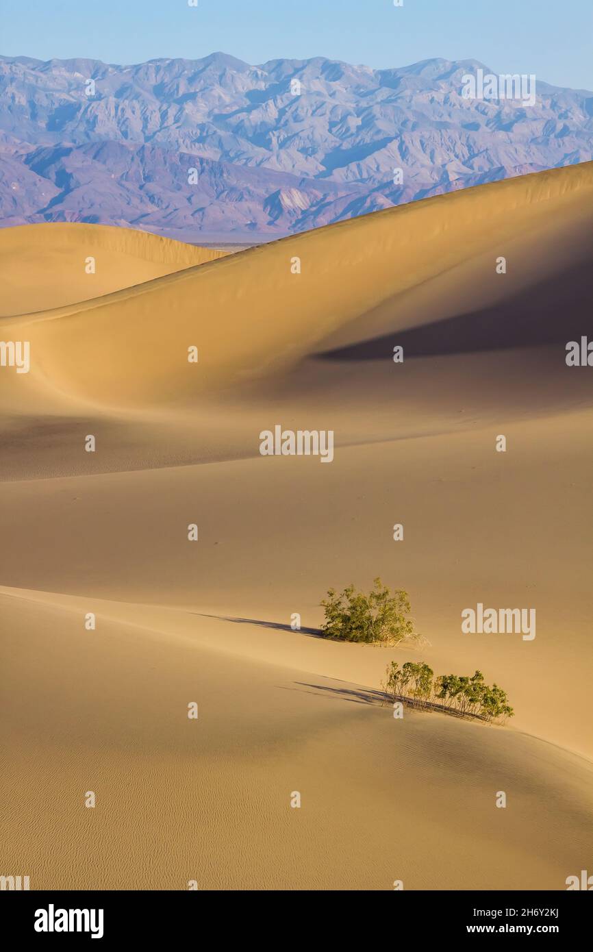 The image showcases a vast desert landscape dominated by rolling sand ...