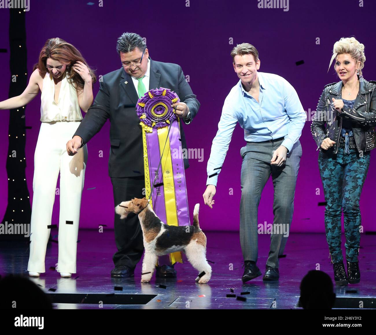 New York - NY - 20190213 - Curtain Call for 2019 Westminster Kennel ...