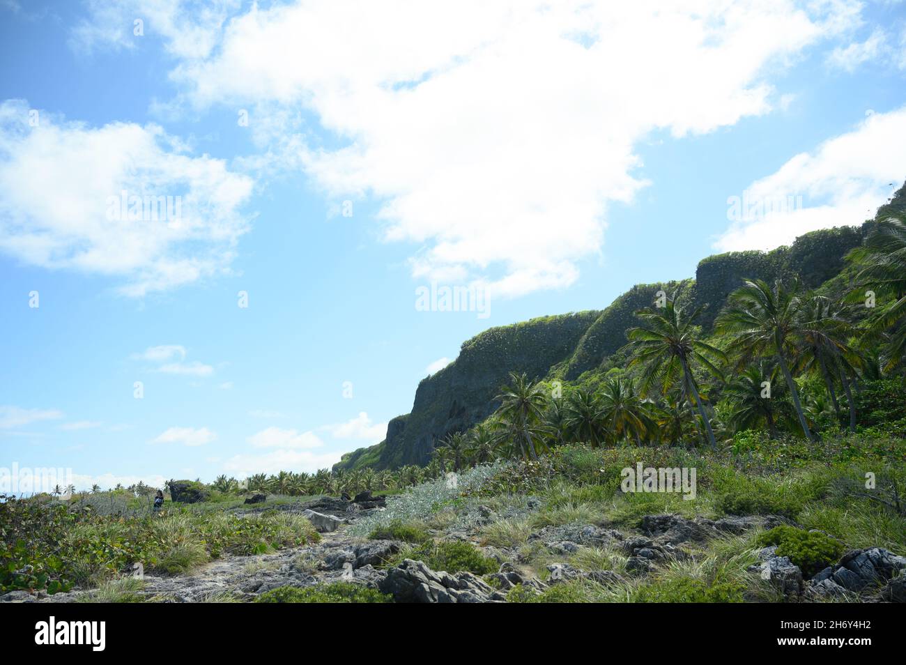 This photo shows how a rock protrudes from the fabulous jungle of the ...