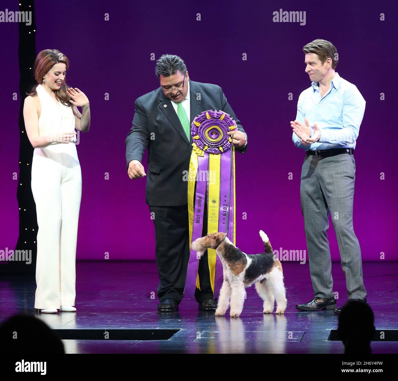 New York - NY - 20190213 - Curtain Call for 2019 Westminster Kennel ...