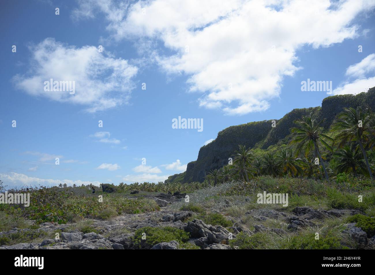 This photo shows how a rock protrudes from the fabulous jungle of the ...