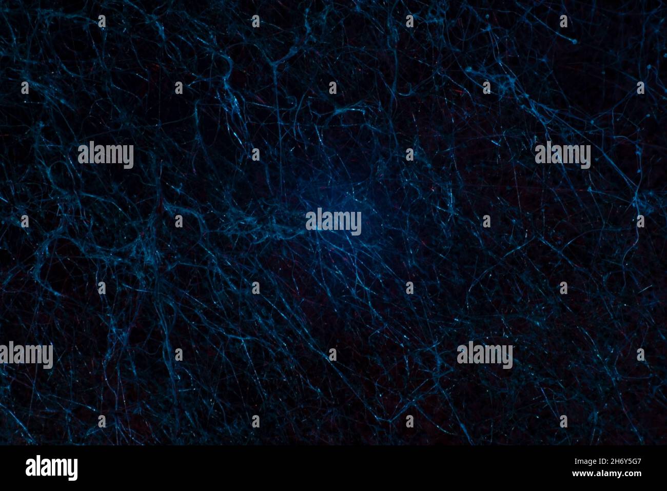 macro photography abstract blue natural texture neural network mold ...